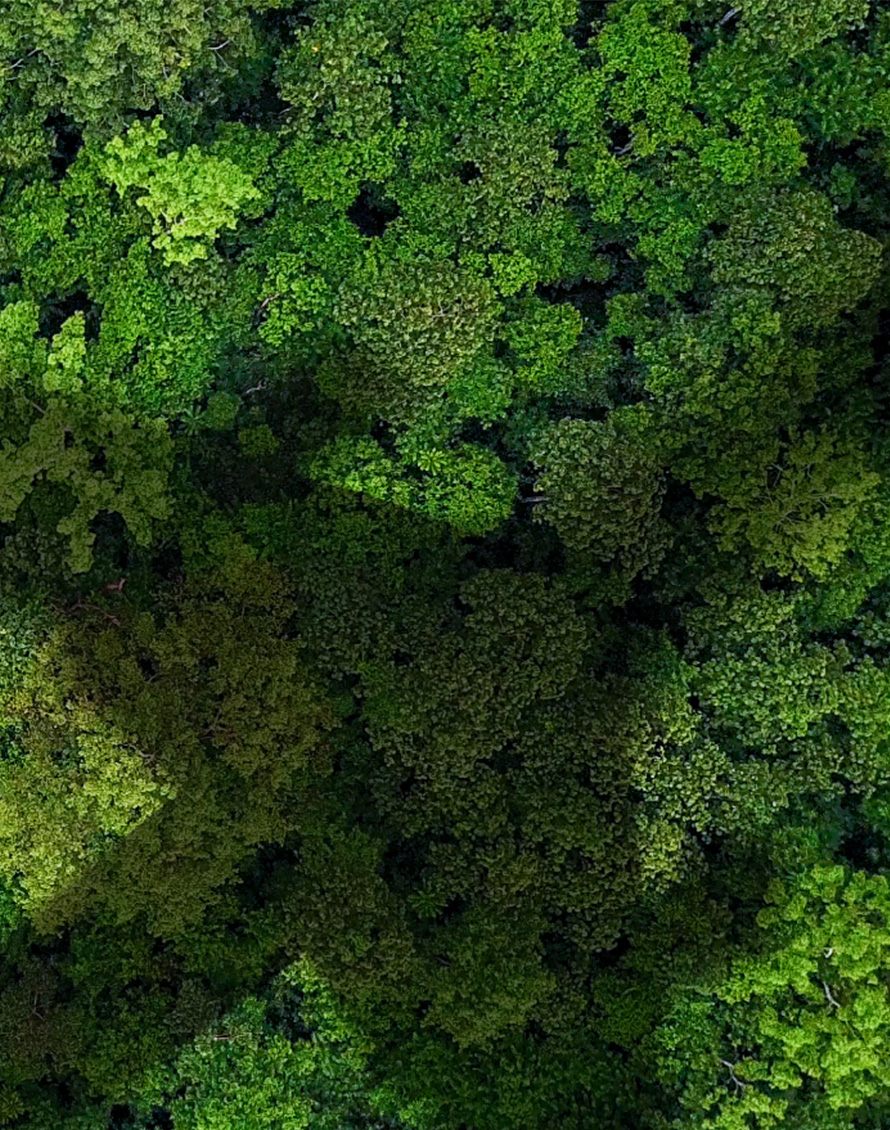 GE Aerospace Software | GE Aerospace